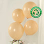 12" Pastel Peach Biodegradable Latex Balloons | eFavormart