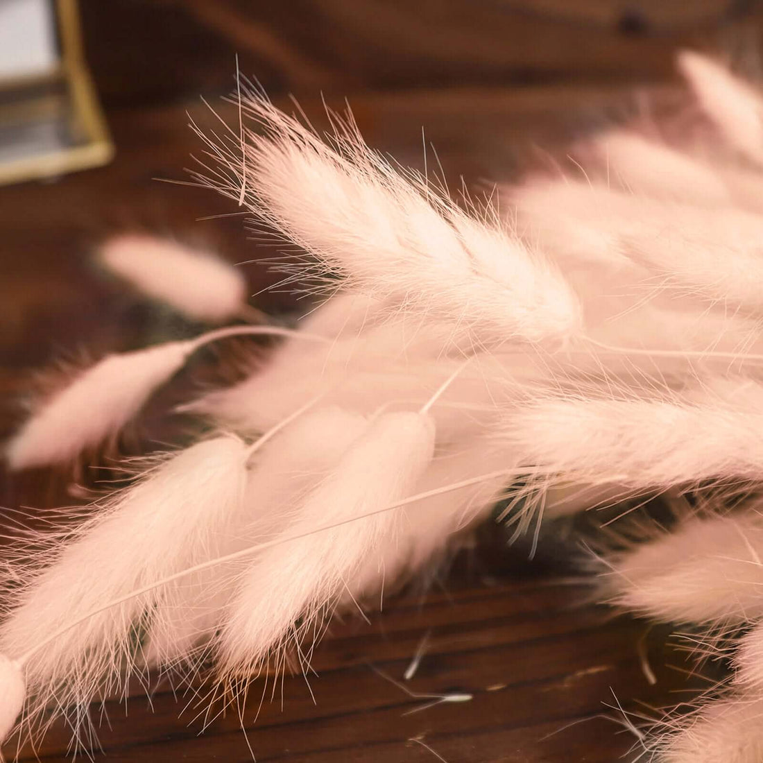 Blush Bunny Tail Grass 50 Pack | eFavormart