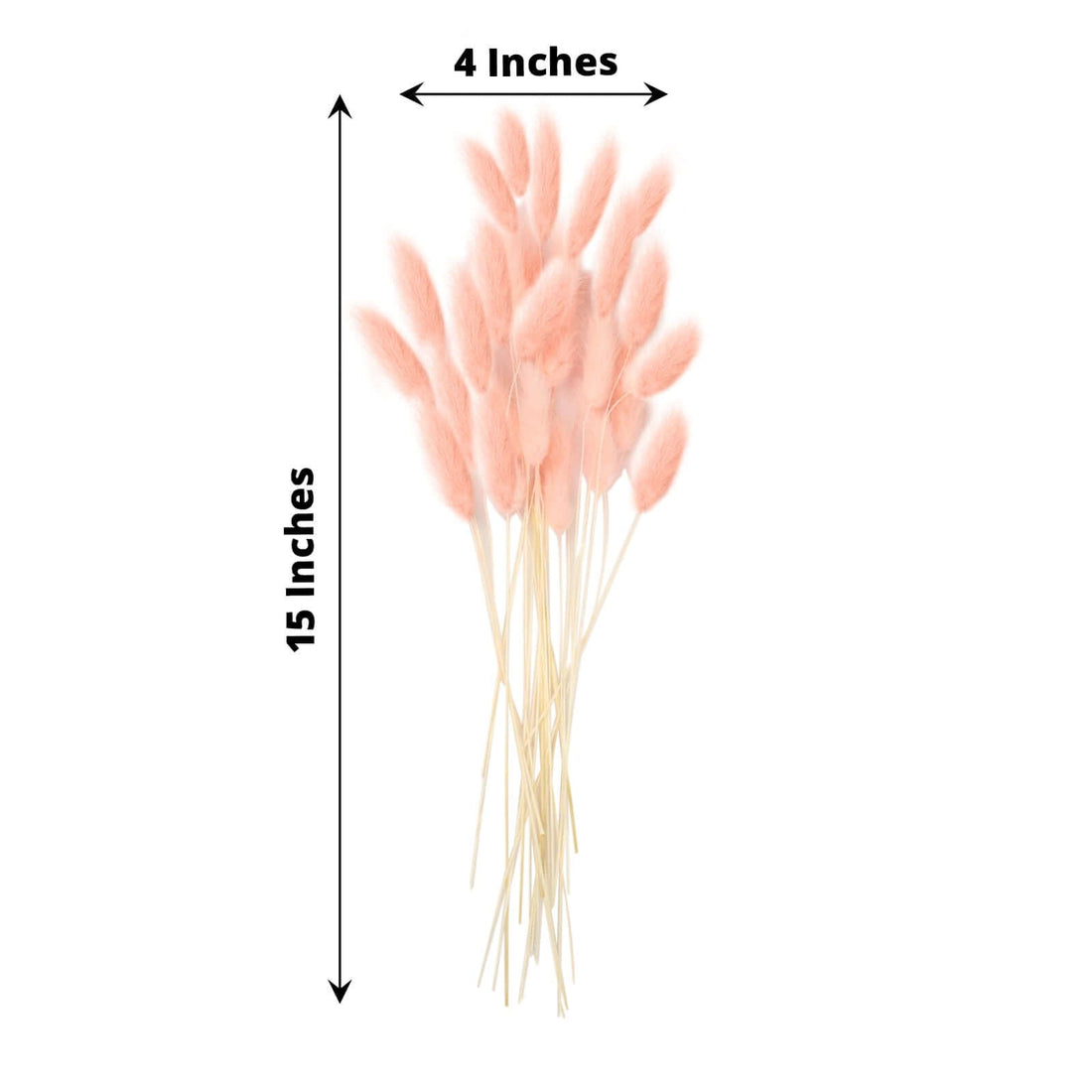 Blush Bunny Tail Grass 50 Pack | eFavormart