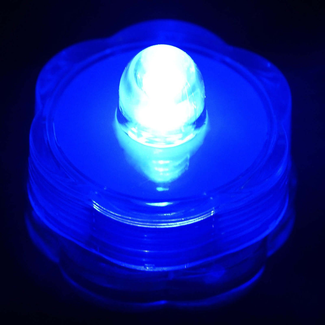 Flower Shaped LED Lights Light Blue | eFavormart