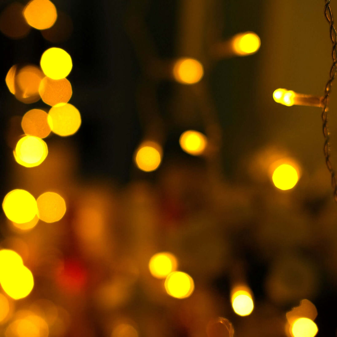 5ftx8ft Warm White LED Icicle Fairy Lights | eFavormart