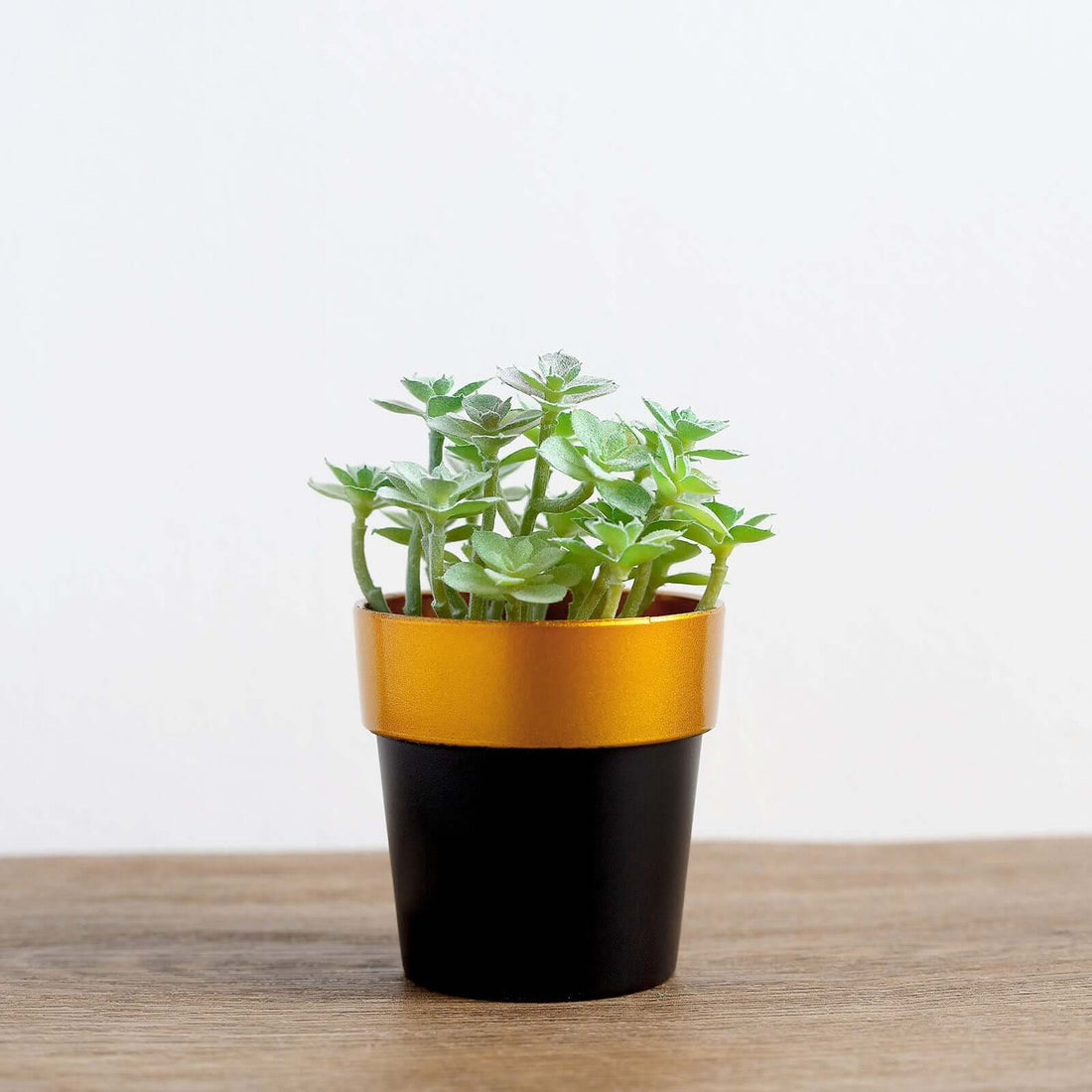 Black and Gold Small Flower Pots 3 Pack | eFavormart