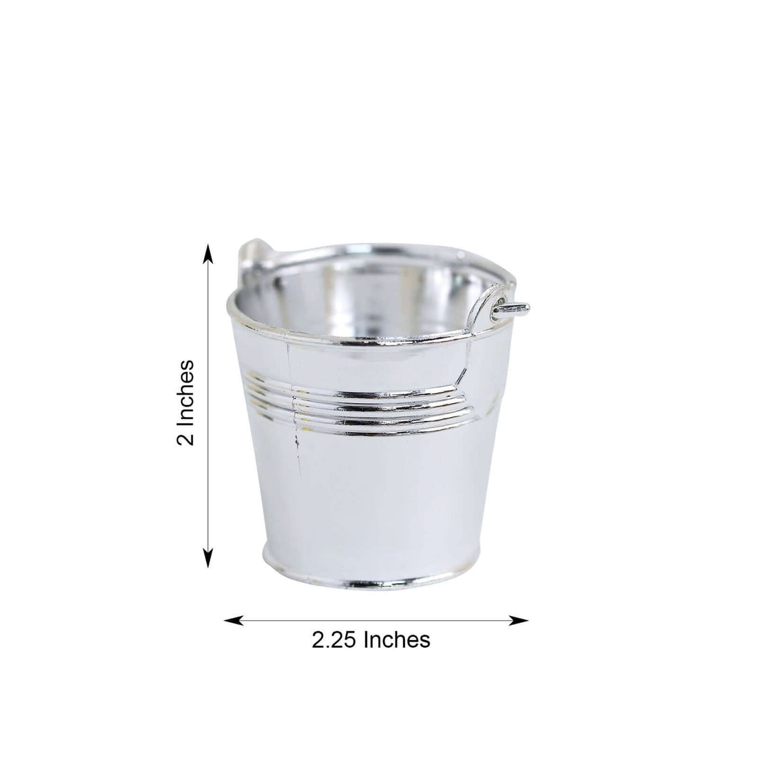 Silver Pail Party Favor Boxes | Mini Planter | eFavormart