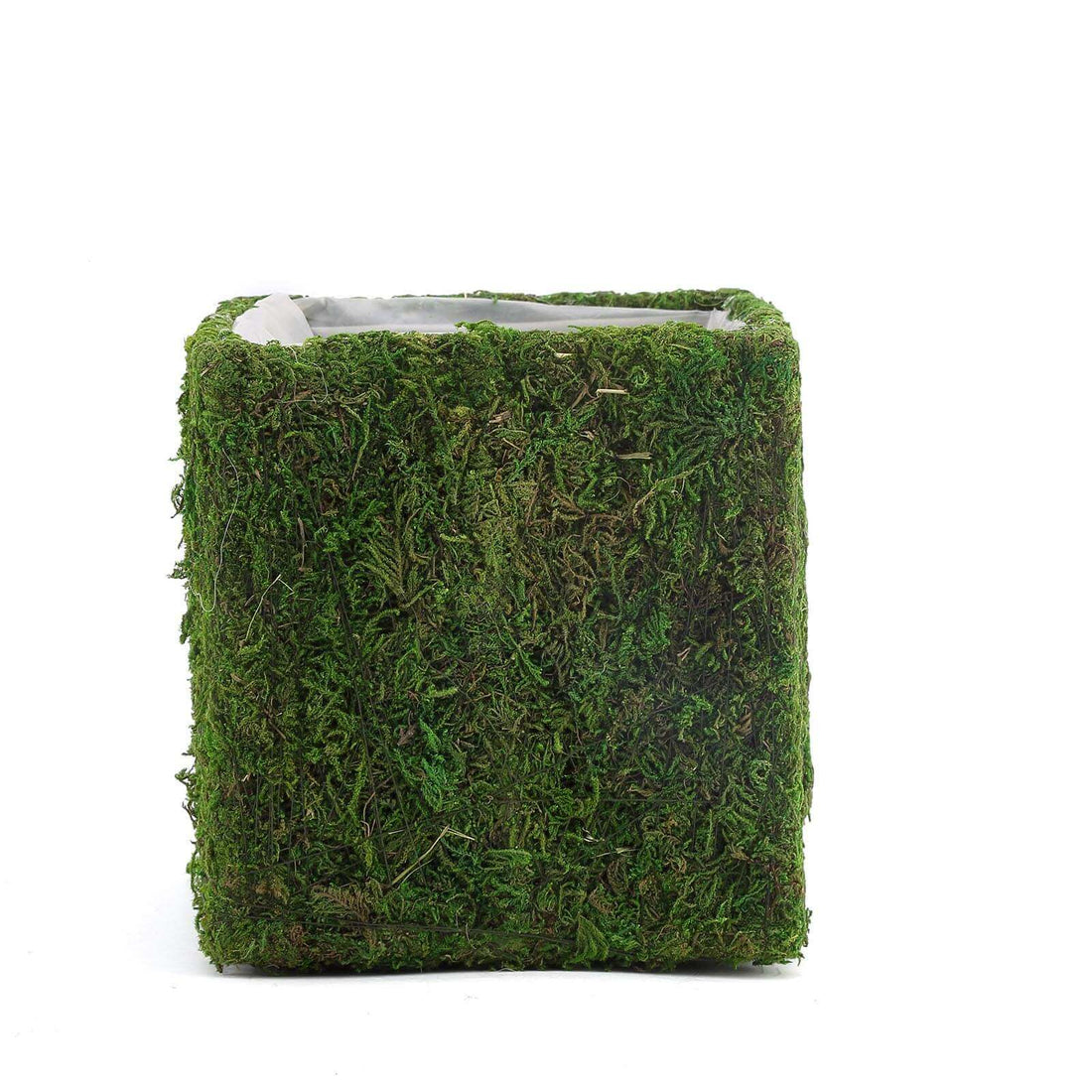 Moss Square Planter Boxes Green 6" | eFavormart