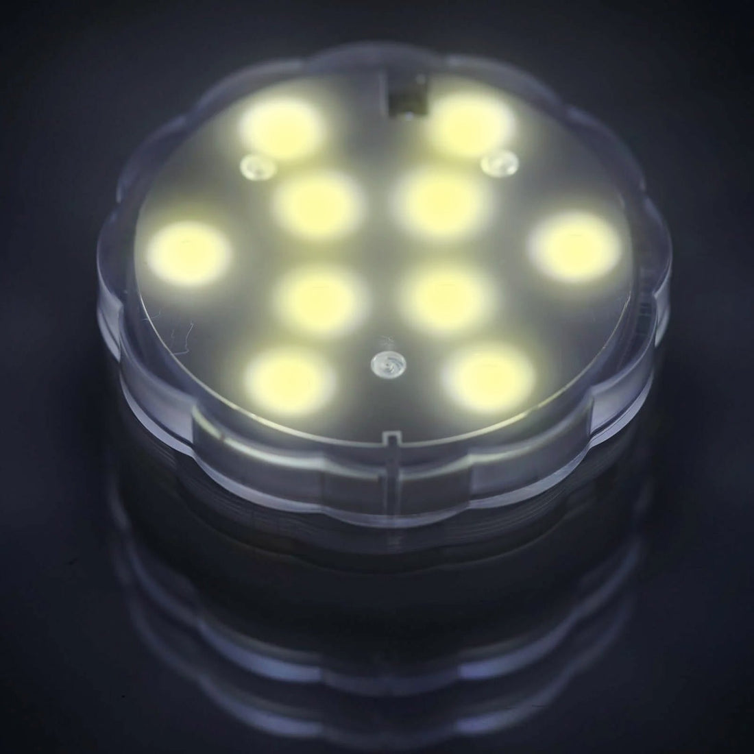 Flower Shaped LED Disc Lights Warm White 3" | eFavormart