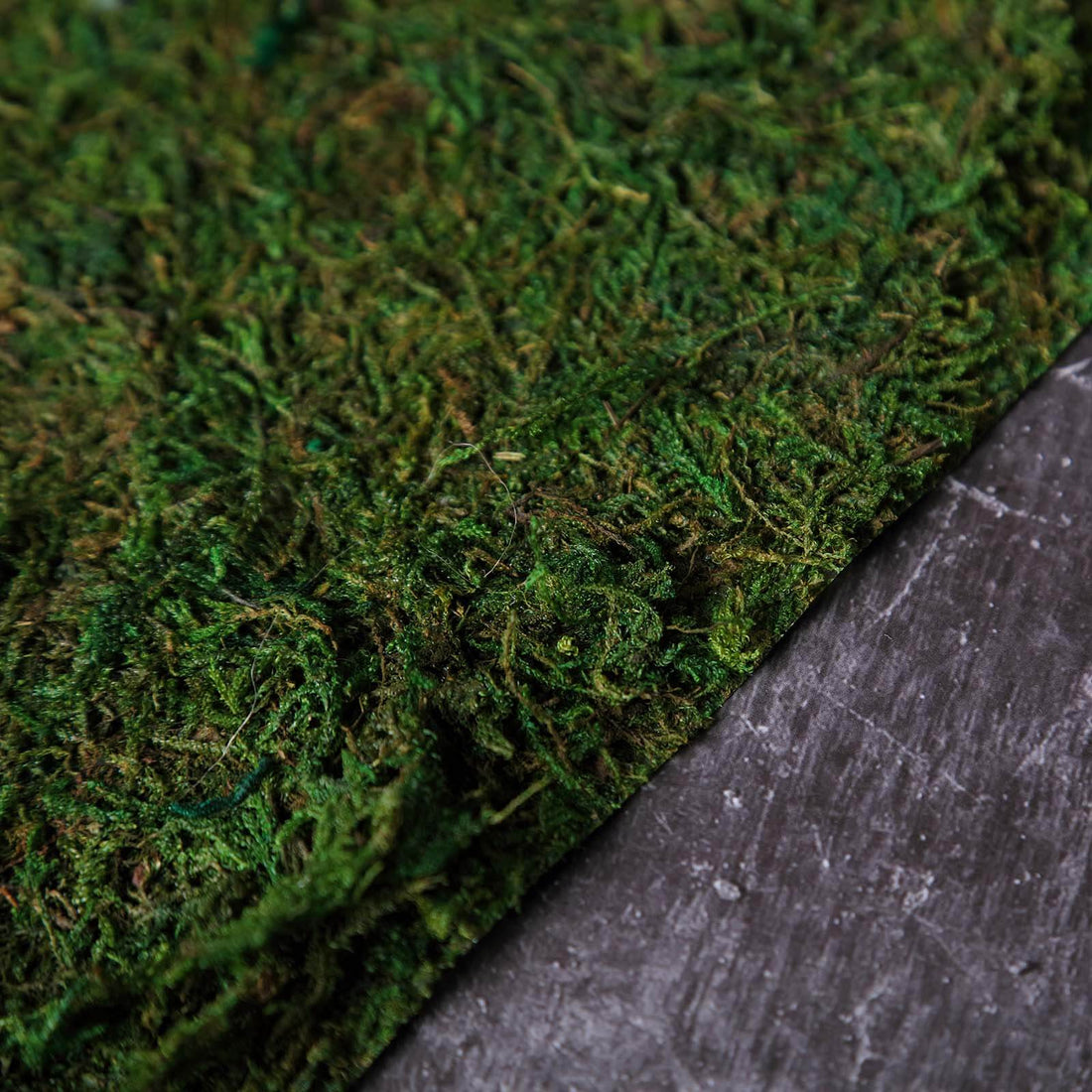 18x16 Natural Moss Wall Sheet Roll | eFavormart