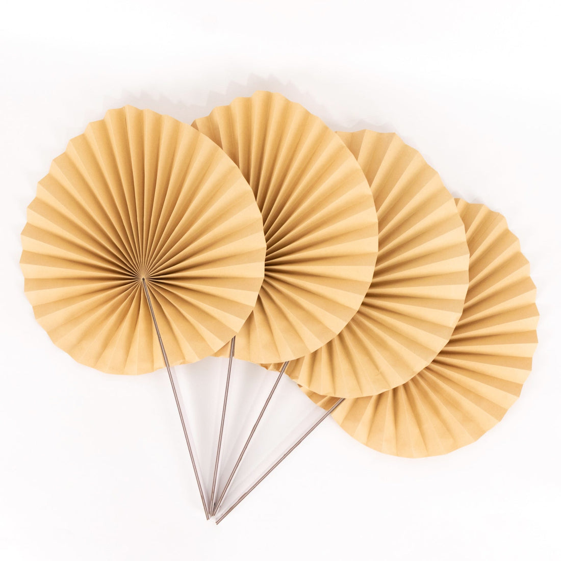 6 Pack Natural Dried Paper Fan Palm Leaves | eFavormart