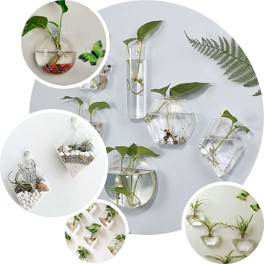 Clear Glass Rhombus Wall Vases | eFavormart